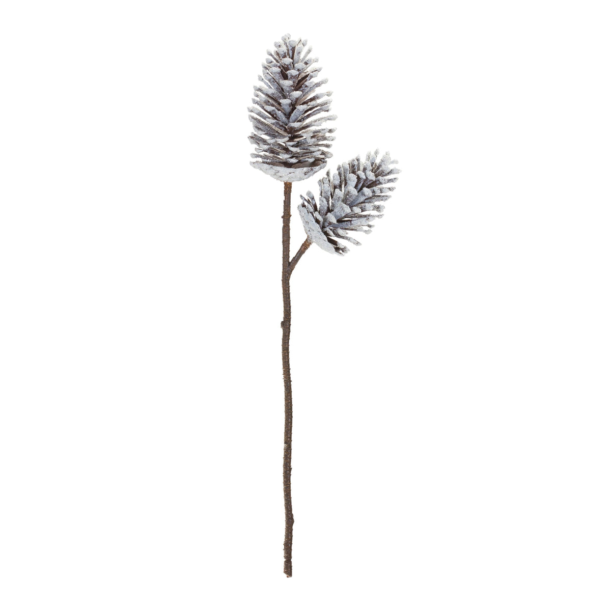 Pine Cone Pick (Set of 2) – LivingSpaceGear